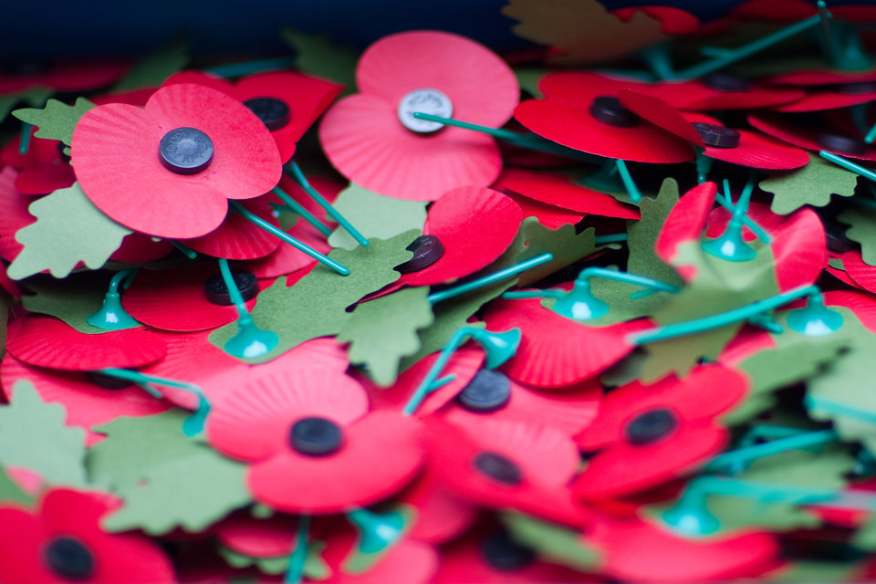 Kyrgyzstan: Get your poppy and help the Royal British Legion - GOV.UK