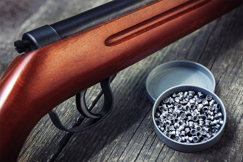 Home Office writes to interested parties on air weapon regulation - GOV.UK