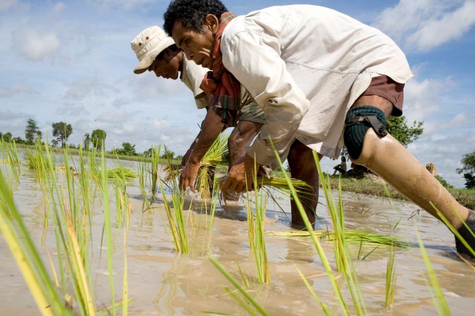 UK aid supports world’s first mobile app to help the poorest people ...