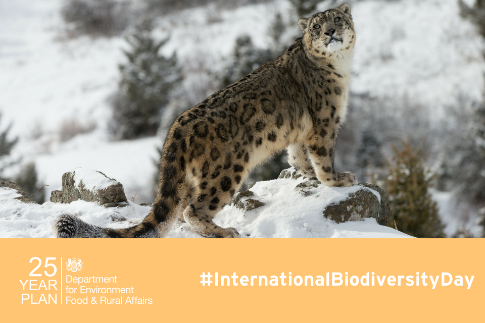 Darwin Initiative: £10 million for international conservation projects ...