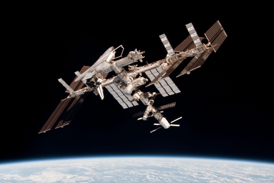 Worms in space: The Molecular Muscle Experiment - GOV.UK