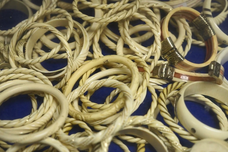 Ivory Alliance 2024: Political leaders, conservationists and ...