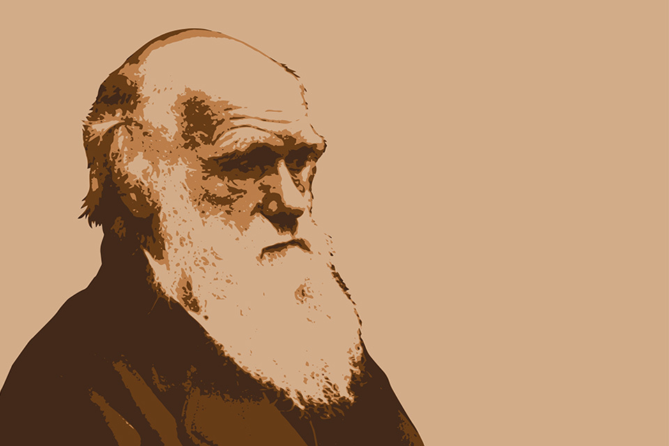 Handwritten page from Darwin's ‘On The Origin Of Species’ at risk of ...