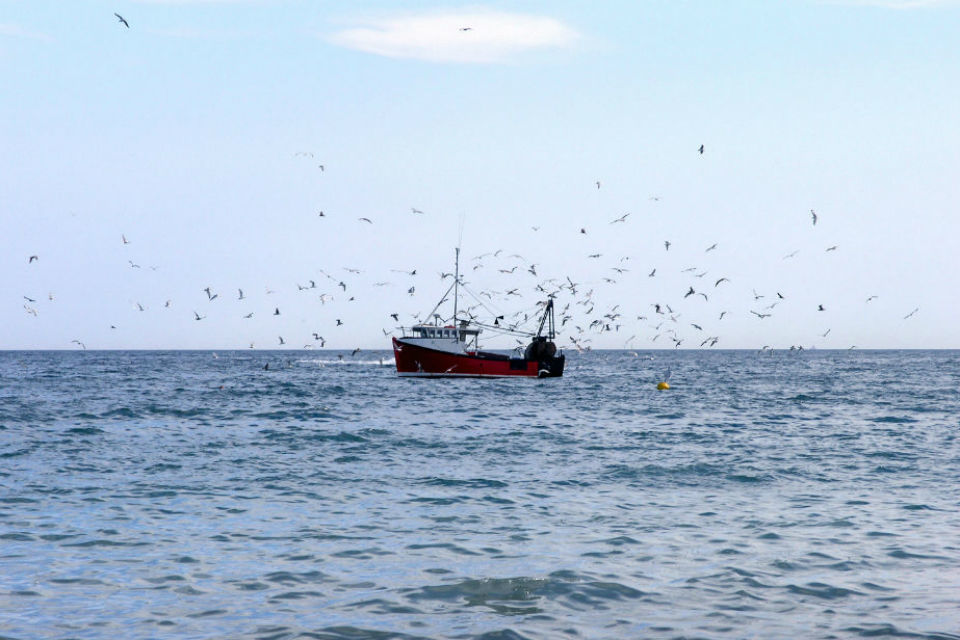 Fish exporters urged to register now to use new digital exports ...