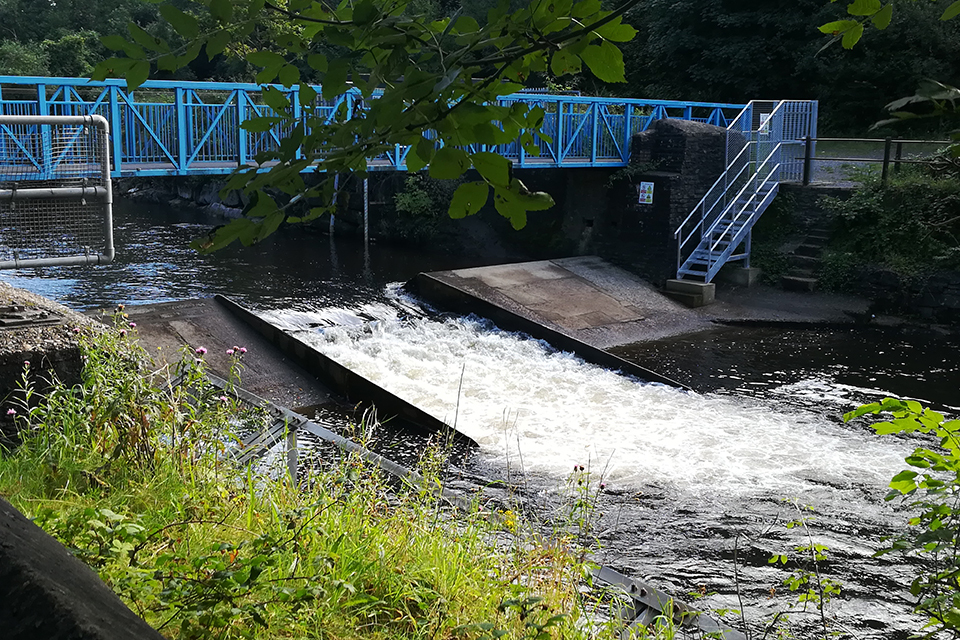 Helping to 'reconnect' the River Afan - GOV.UK