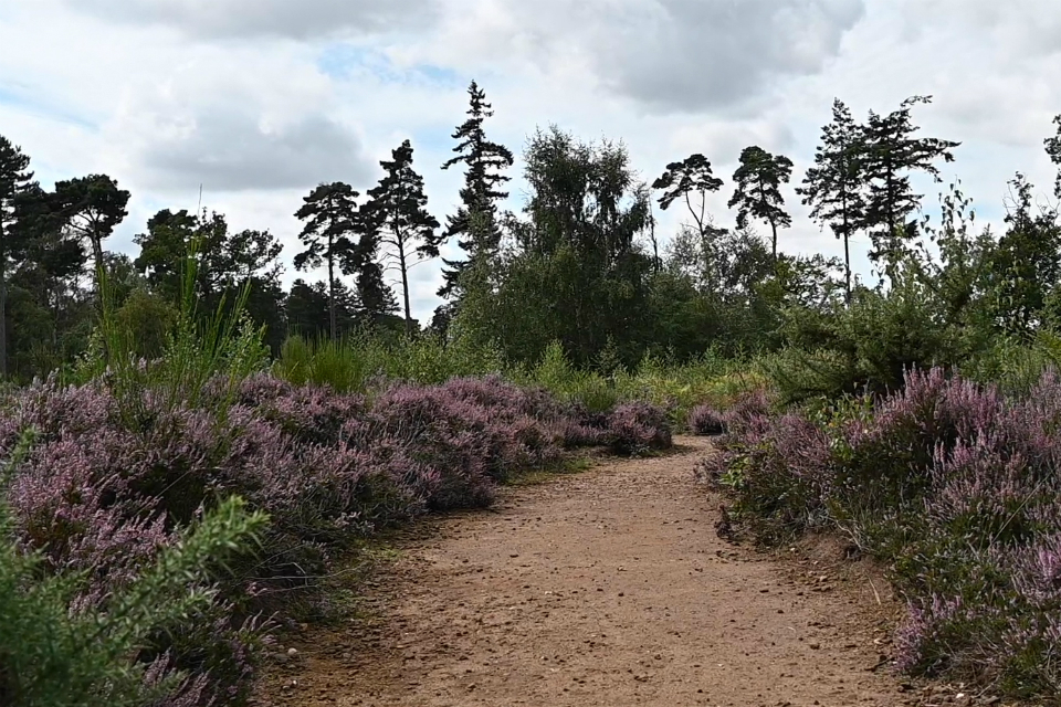 Theresa Villiers visits RSPB headquarters - GOV.UK