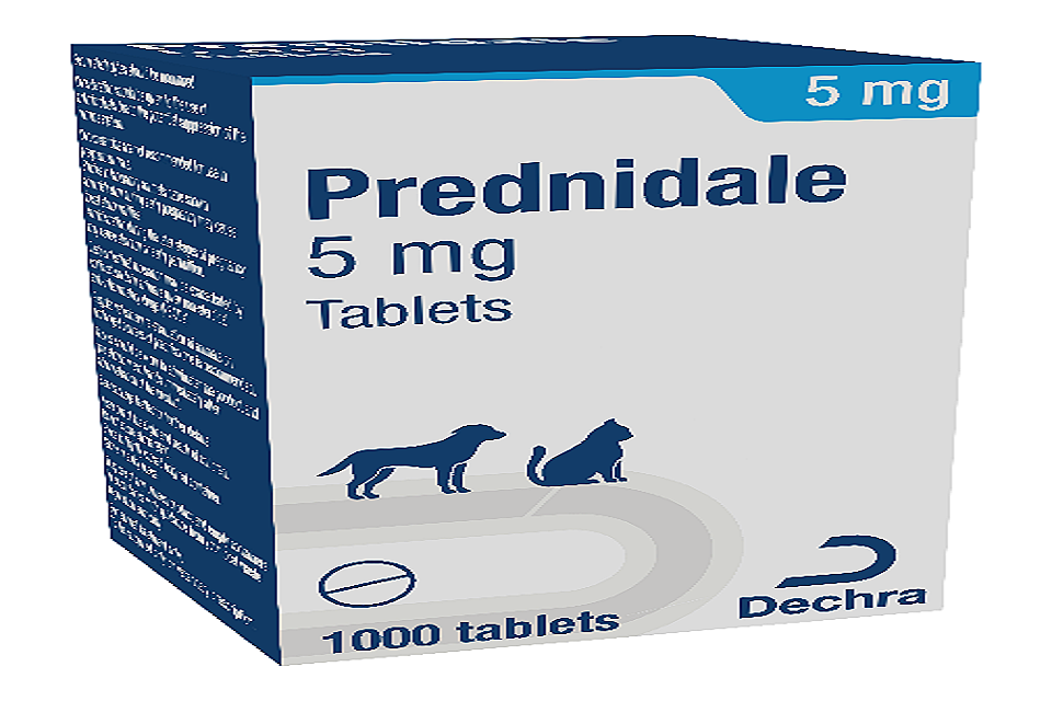 Prednidale 5 mg Tablets - Product defect recall alert - GOV.UK