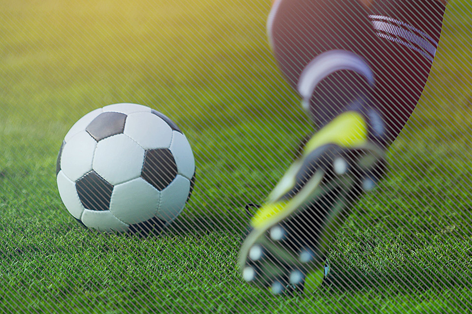 Government gives green light to resumption of compeitive sport behind ...