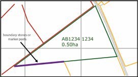 How to fill in your RLE1 form - Rural land and entitlements (RLE1 ...
