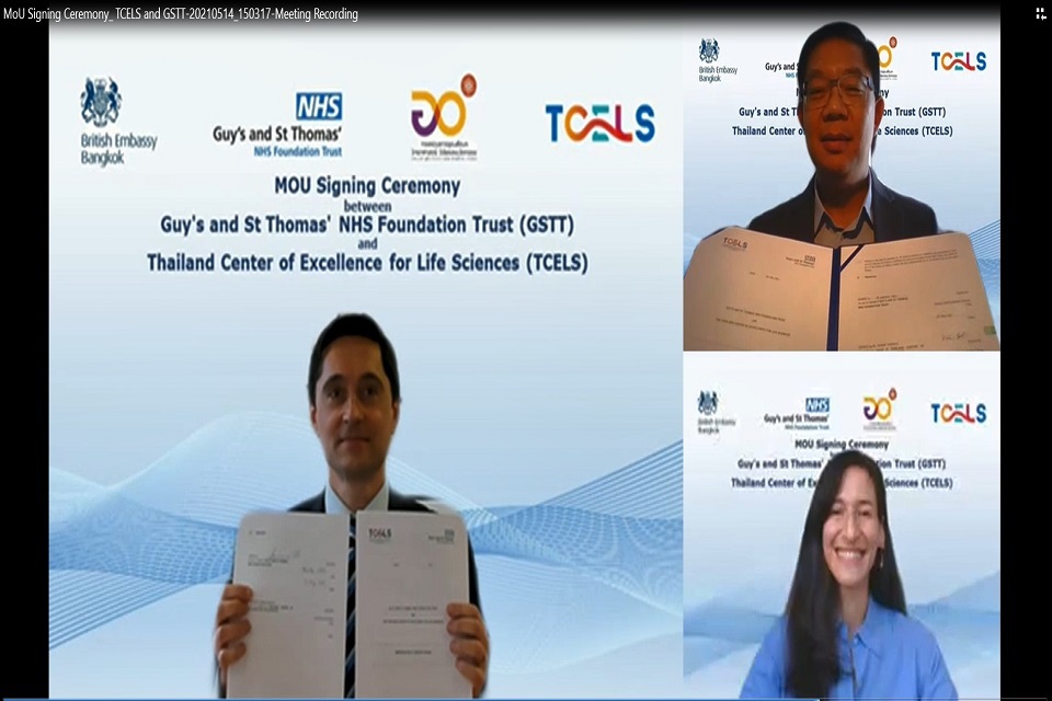GSTT and TCELS signed MoU on Genetic Counselor capacity building ...