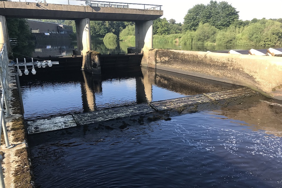 Work starts on River Tyne eel pass and fish counter improvements - GOV.UK