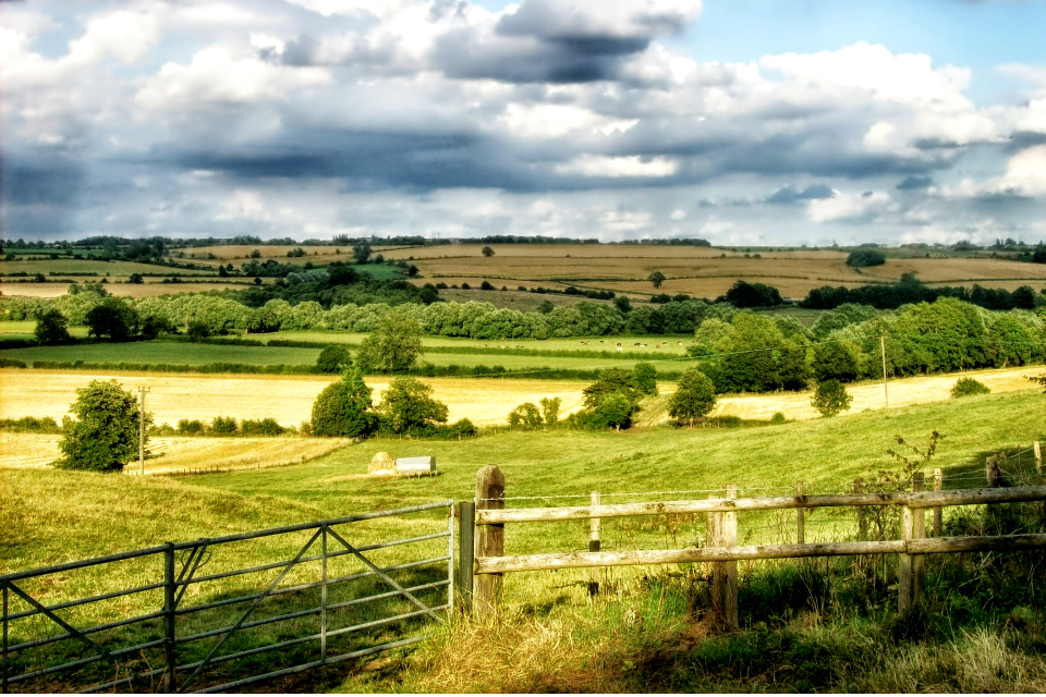 Farming Innovation Programme launched to boost the future of farming ...