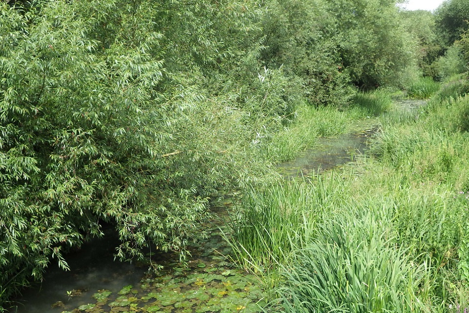 Thames Water fined £4 million after 30 hour waterfall of sewage ...