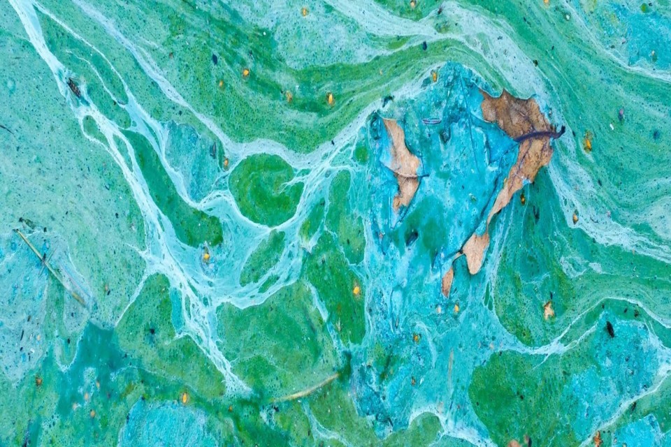 UKHO’s Diffuse Coastal Pollution Challenge with Geovation - GOV.UK