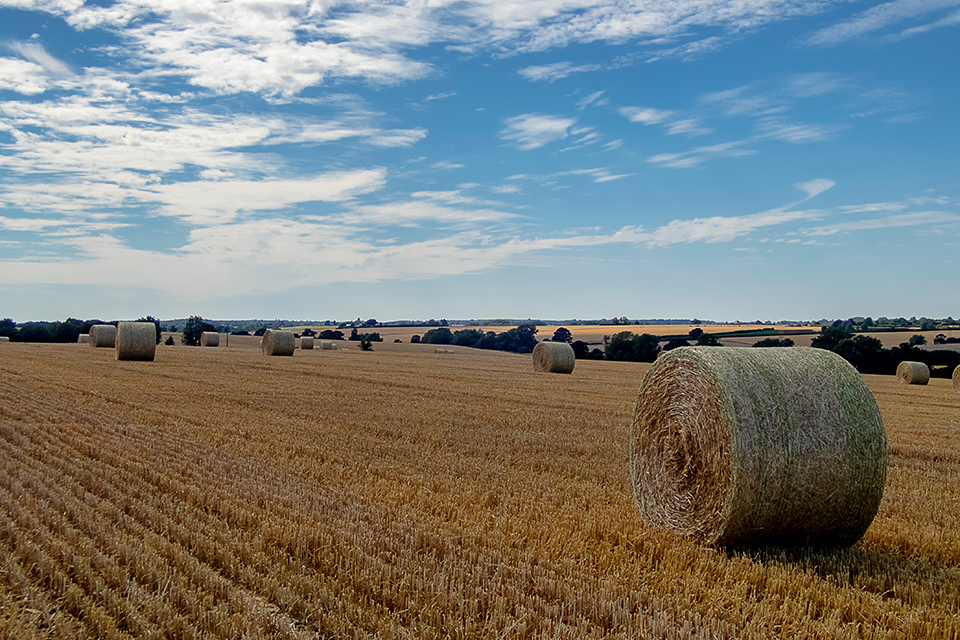 Four local authorities join Local Land Charges Register in January ...