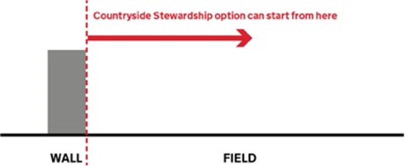 There are no cross compliance requirements where the boundary is a WALL ...