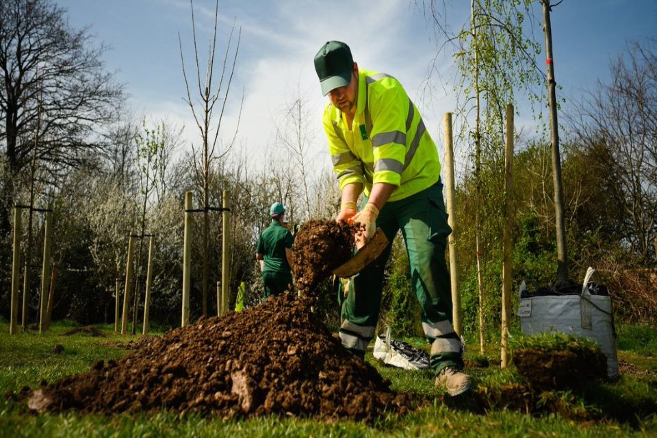 Woodland projects across England to receive funding for jobs, training ...