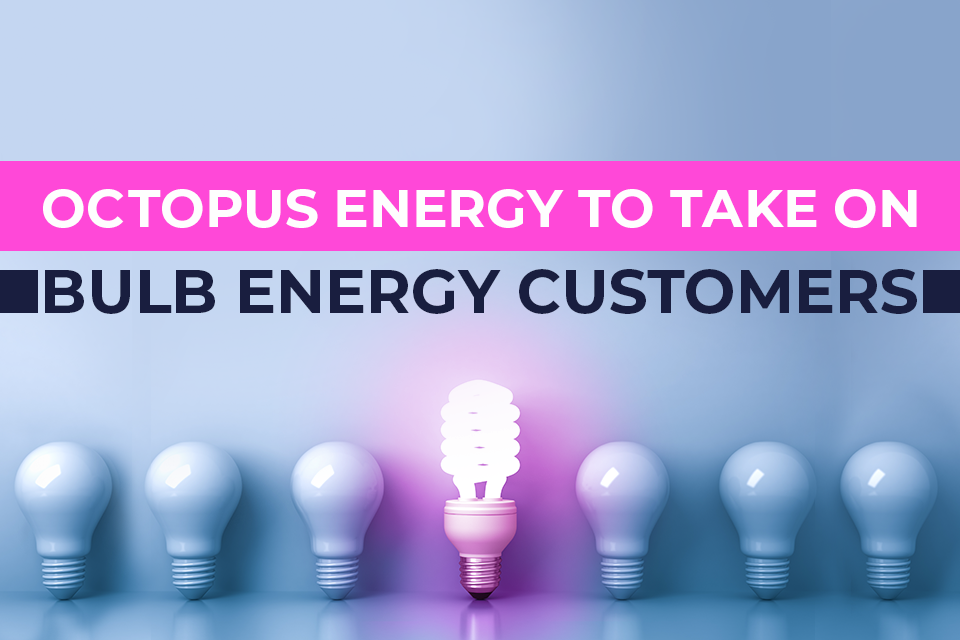 UK government approves agreement between Bulb and Octopus Energy ...