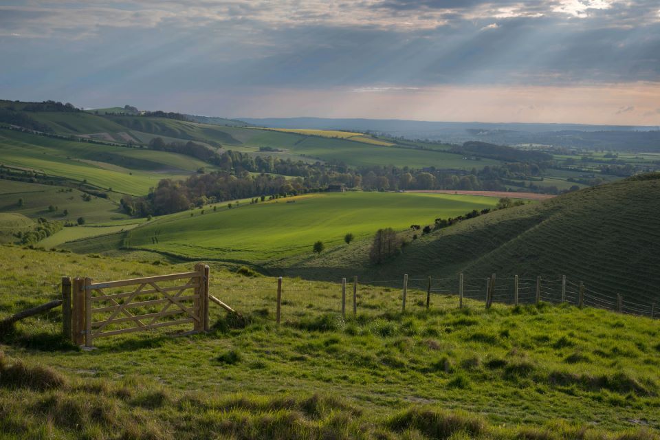 New funding for farmers to protect the English landscape - GOV.UK