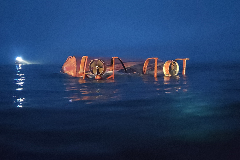 Scot Carrier and Karin Høj report published - GOV.UK