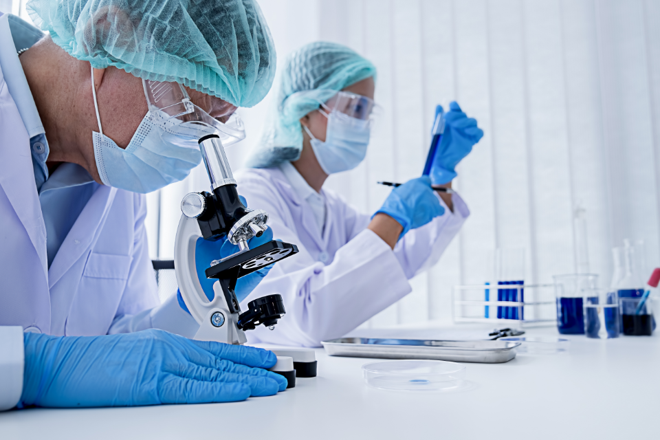 Sales of veterinary antibiotics in the UK reach lowest ever level - GOV.UK