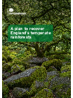 Temperate rainforest strategy - GOV.UK