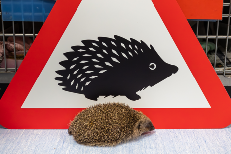 Department for Transport - GOV.UK
