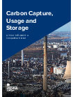 Carbon capture, usage and storage: a vision to establish a competitive ...