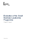 Small Business Leadership Programme (SBLP) evaluation reports - GOV.UK