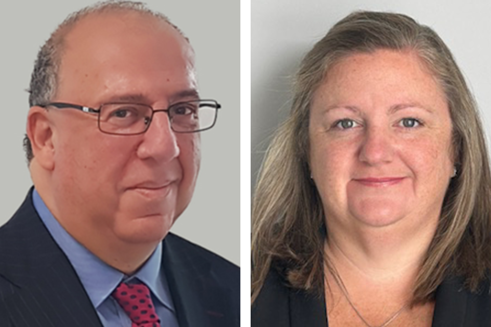 UK DVSA Chair Reinstated, New Non-Executive Director Named | Mirage News