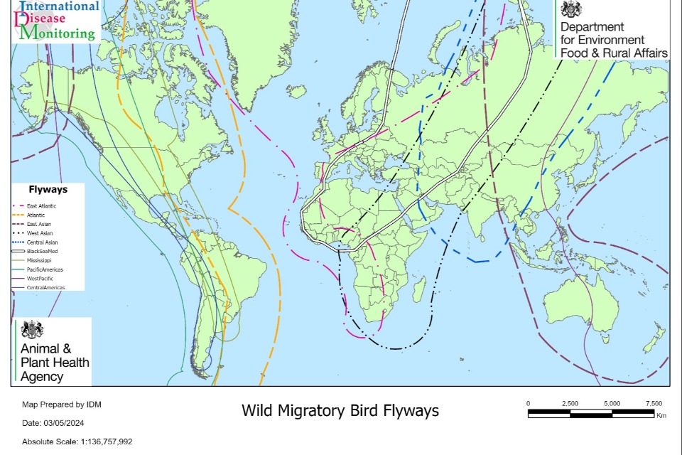 HAIRS risk statement: Avian influenza A(H5N1) in livestock - GOV.UK