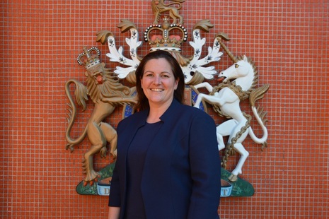 Louise Ellis - GOV.UK