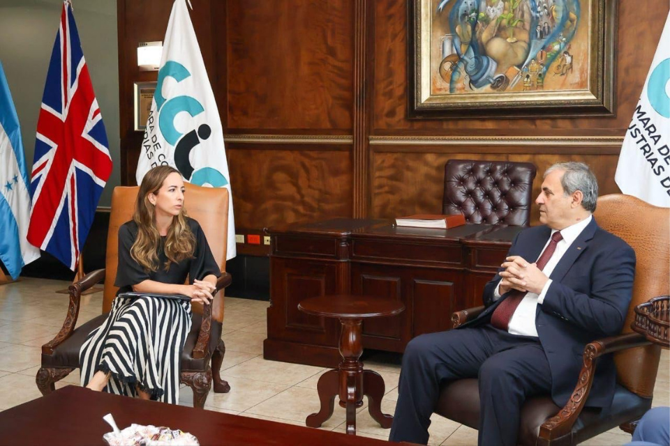 British Ambassador Meets with CCIC to Strengthen Trade and Investment ...