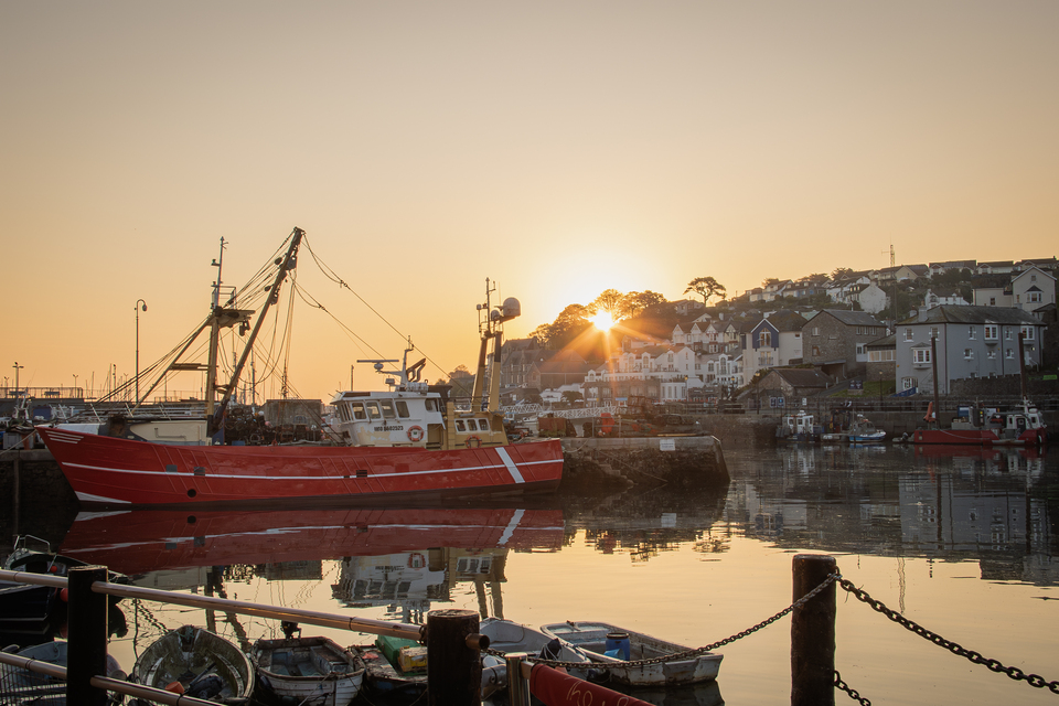 Fish, Trace, Ship - Three weeks to go, UK seafood industry must be ...