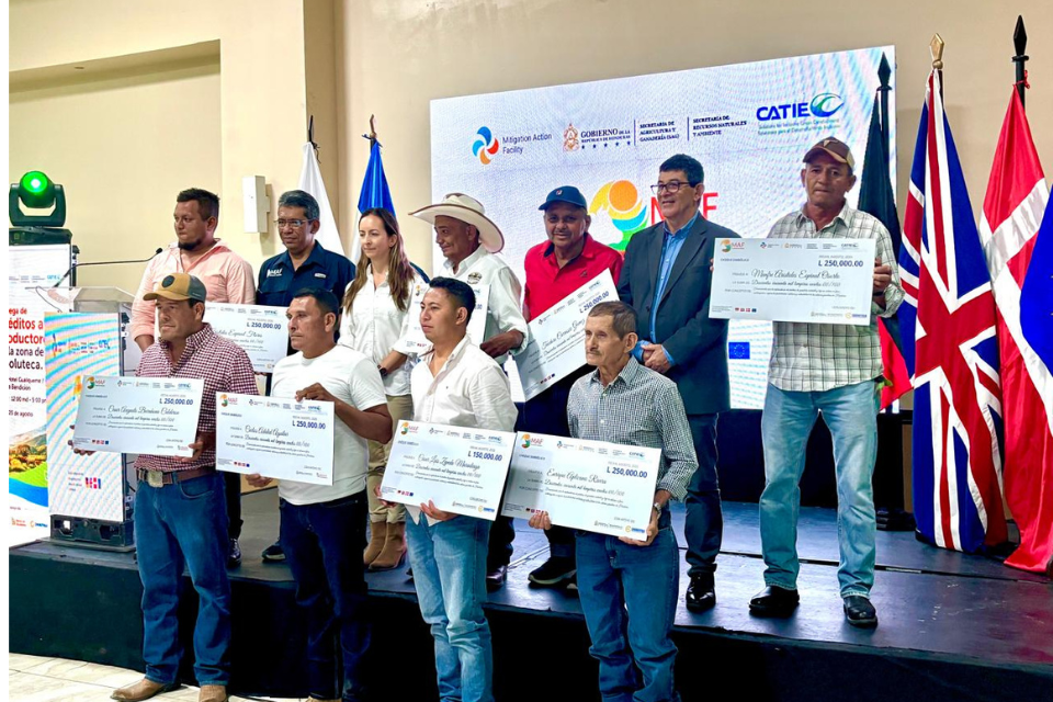 UK-backed programme supports sustainable livestock farming in Honduras ...